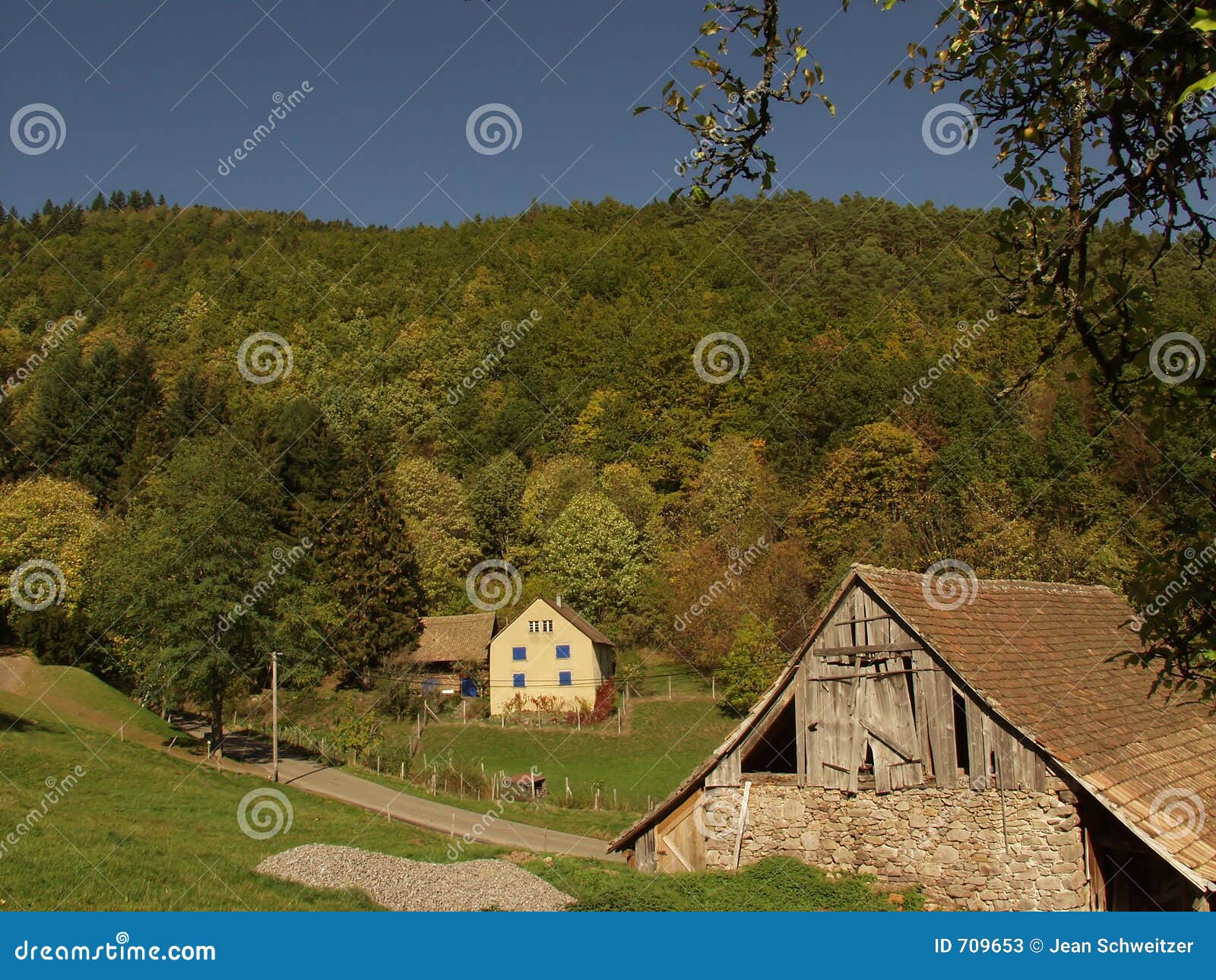 Alsacian vineyards stock image. Image of village, property - 709653