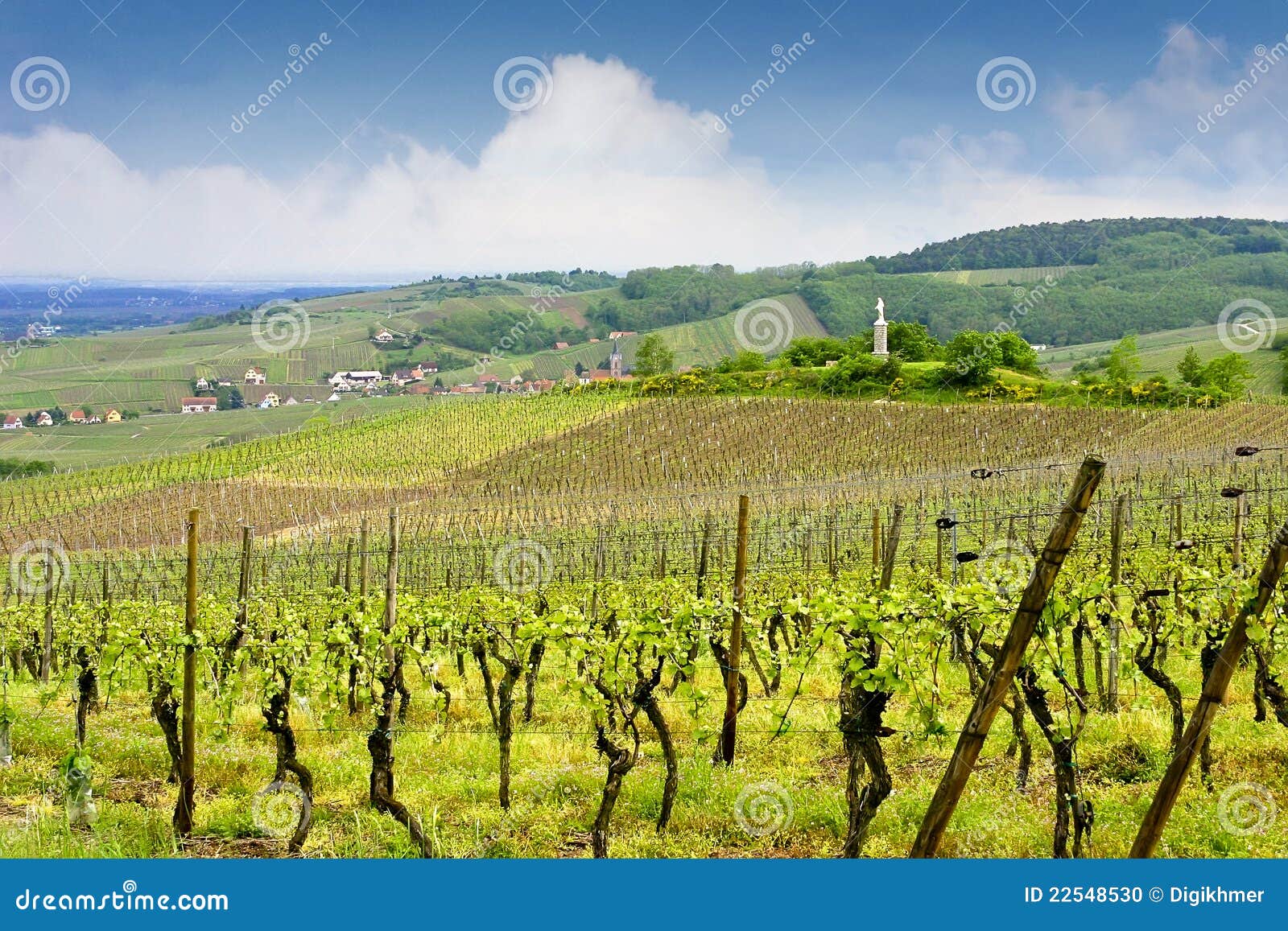 Alsacian Vineyards at Bruche Valley Stock Photo - Image of rhin ...
