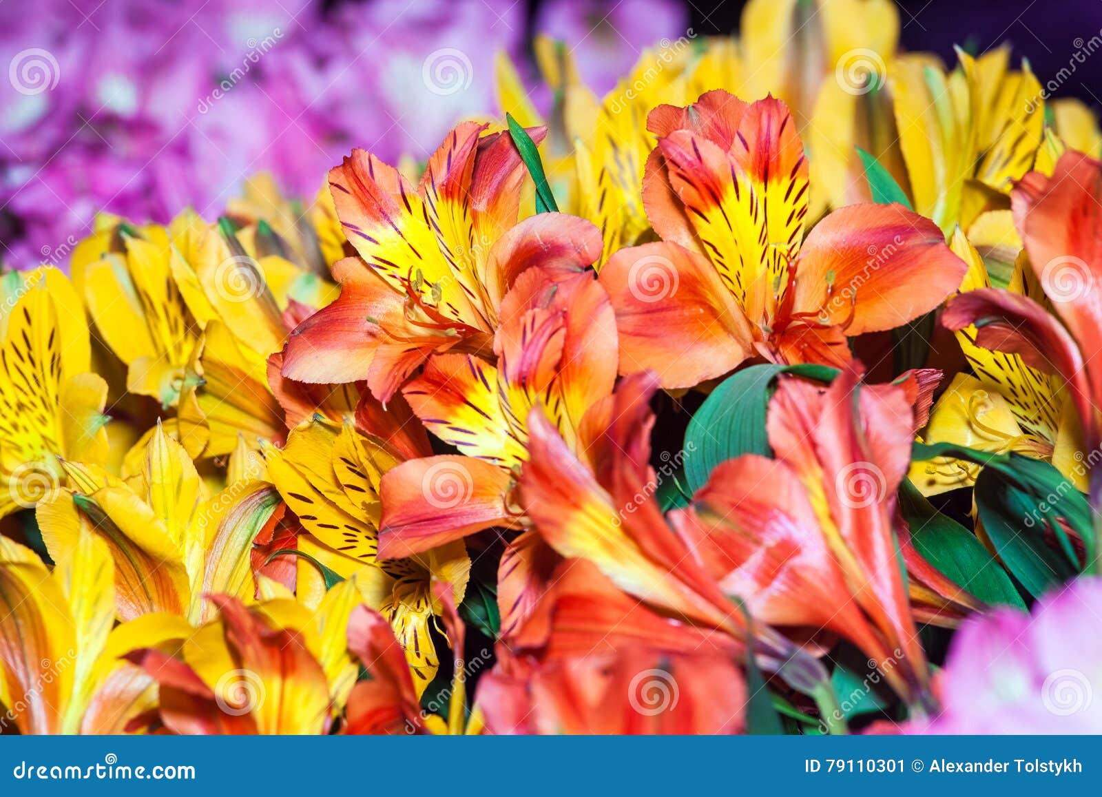 Alstroemeria Flowers Background Stock Image - Image of colorful ...