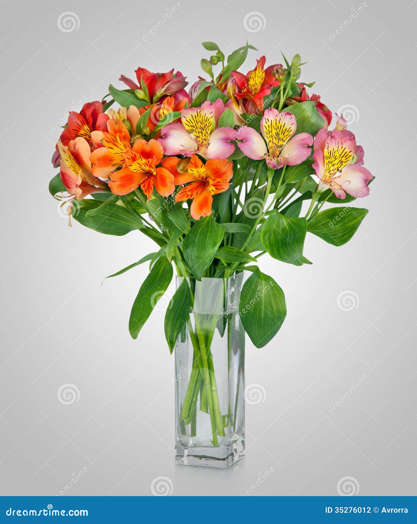 Alstroemeria Flowers in a Vase Stock Photo - Image of natural, bunch ...