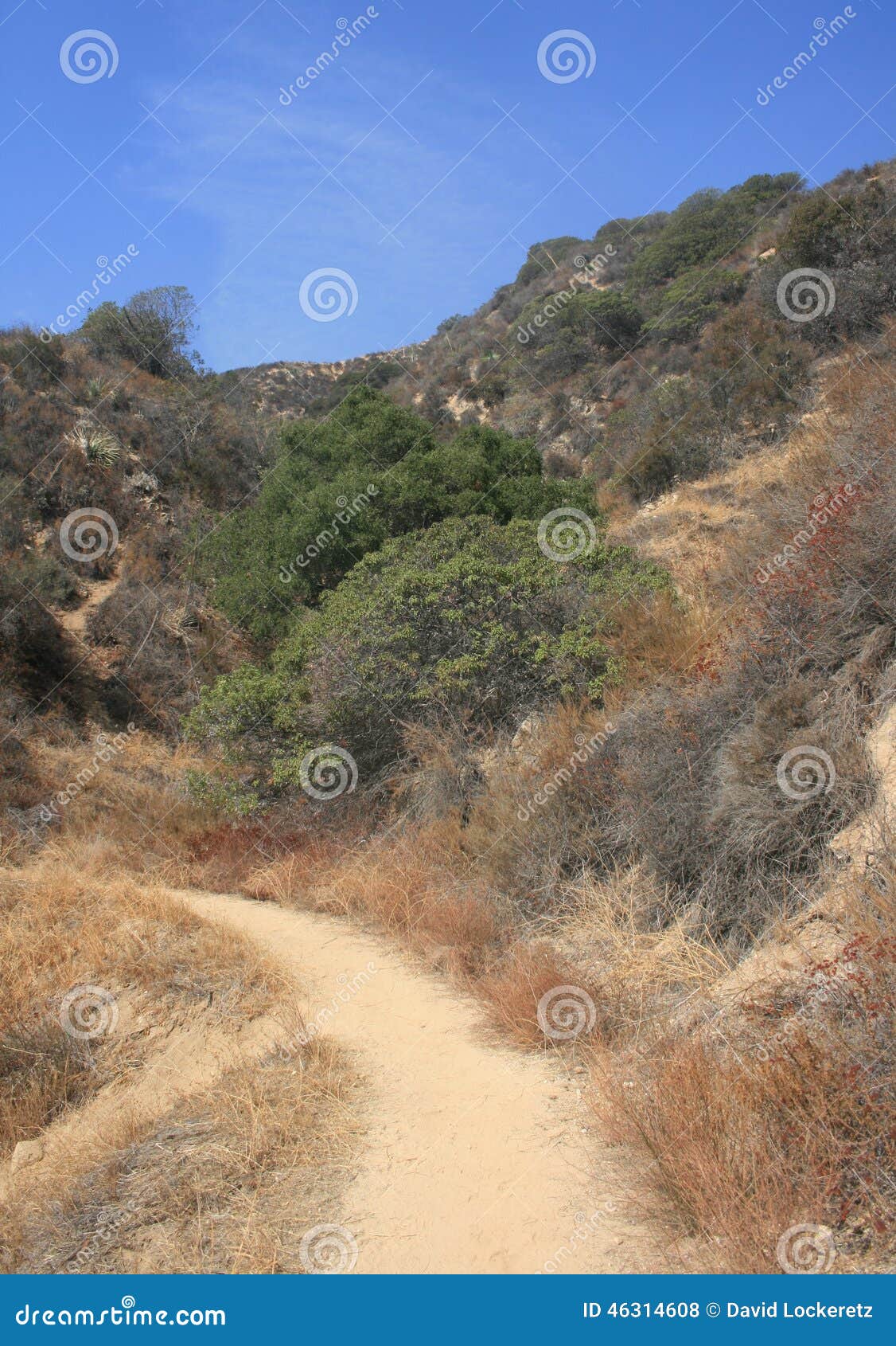 Altadena Crest Trail stock photo. Image of hill, pasadena - 46314608