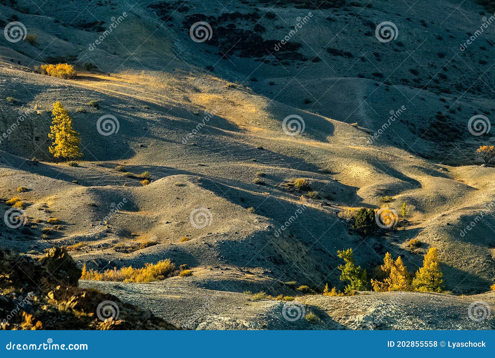 The Altai Mountains. Landscape of Nature on the Altai Mountains and in ...