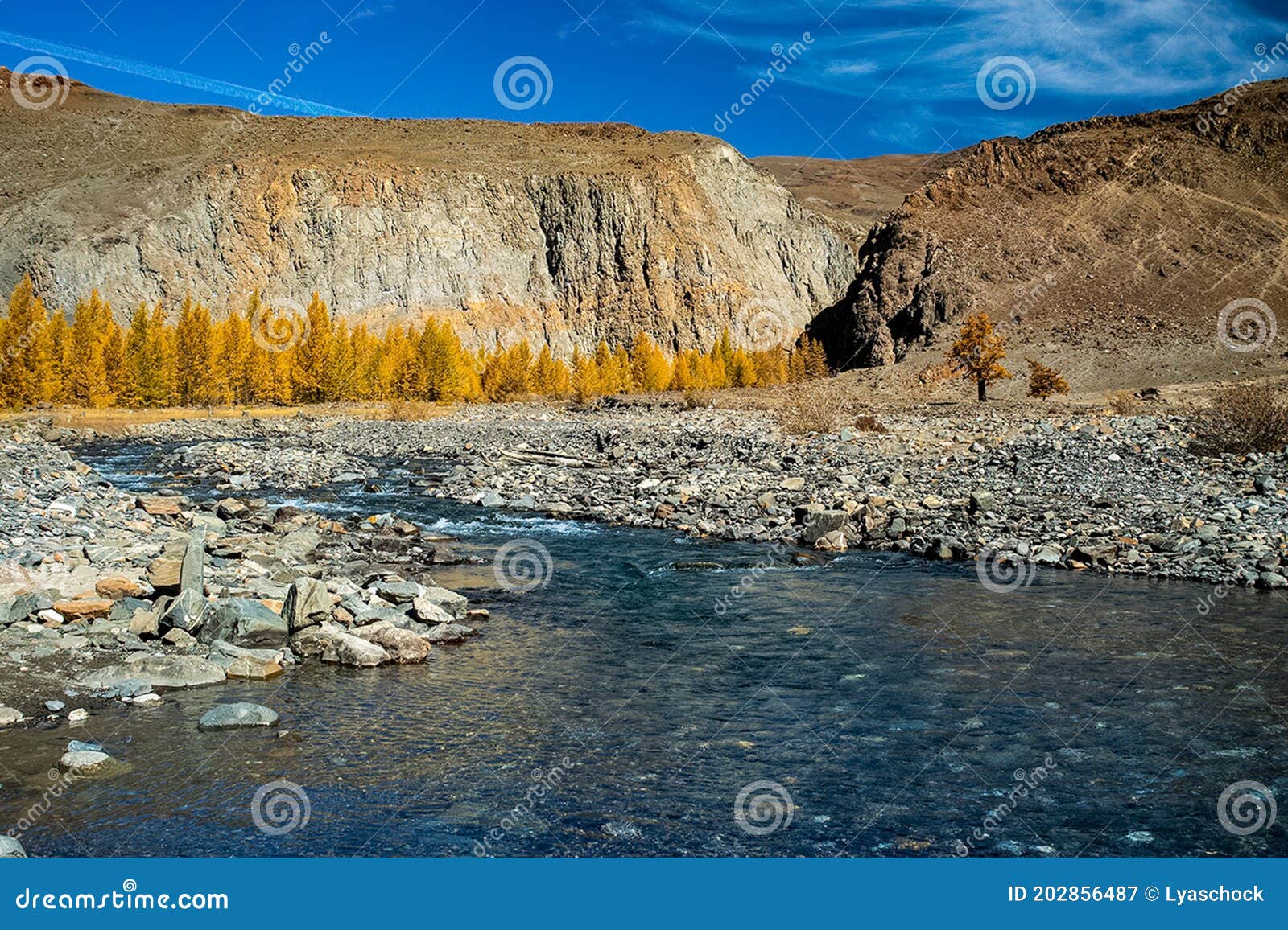 The Altai Mountains. Landscape of Nature on the Altai Mountains and in ...