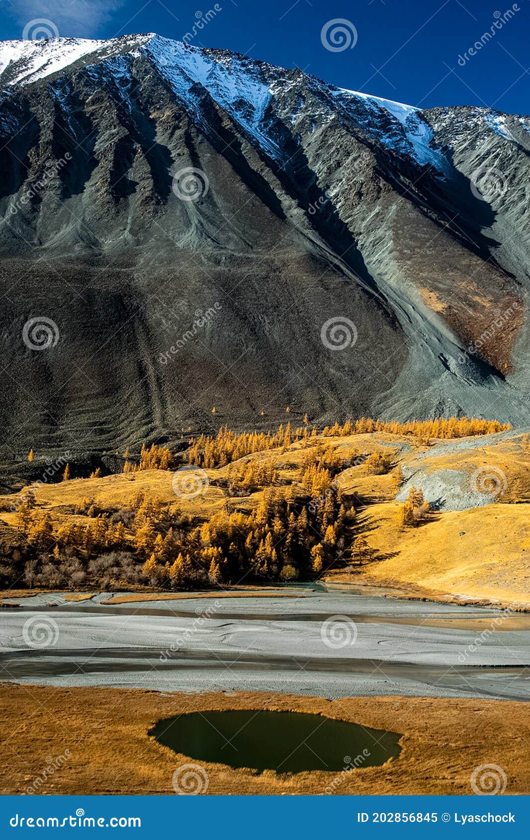 The Altai Mountains. Landscape of Nature on the Altai Mountains and in ...