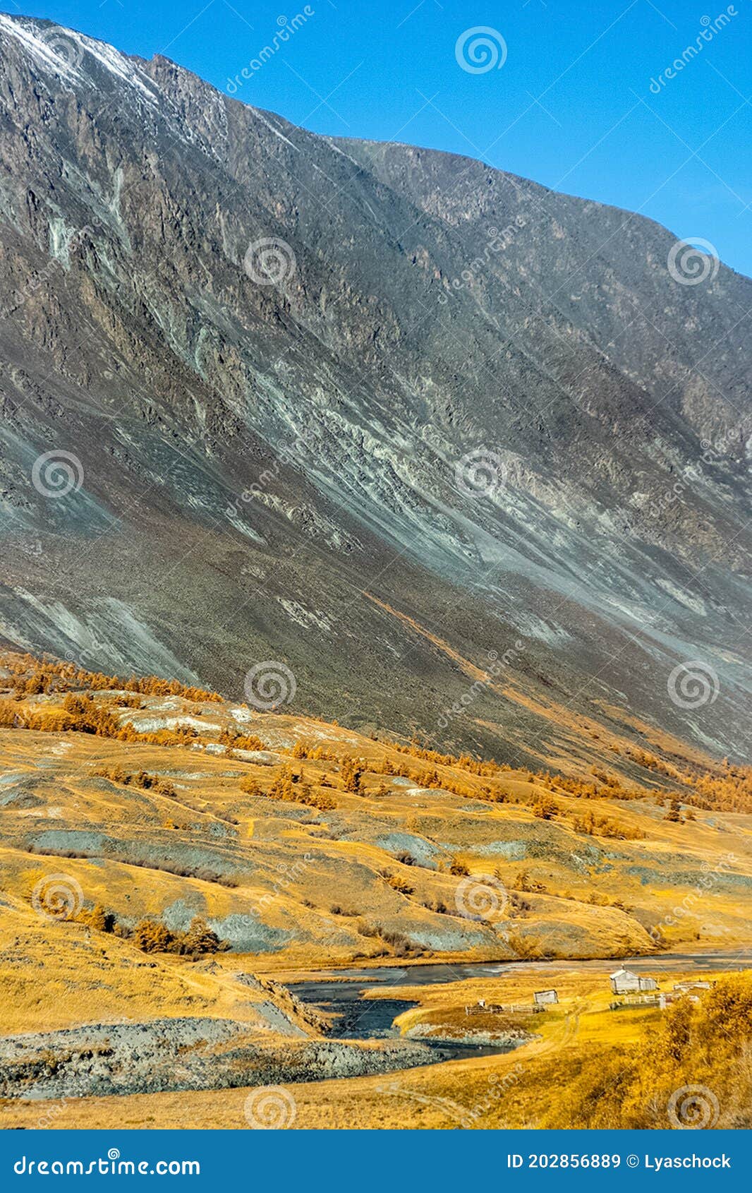 The Altai Mountains. Landscape of Nature on the Altai Mountains and in ...
