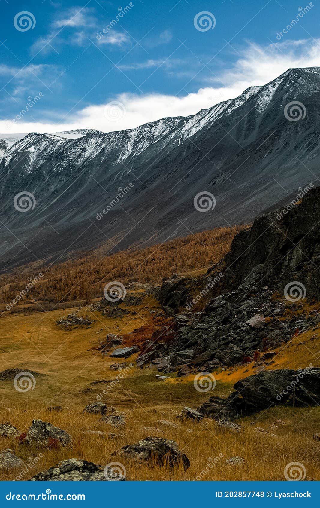 The Altai Mountains. Landscape of Nature on the Altai Mountains and in ...