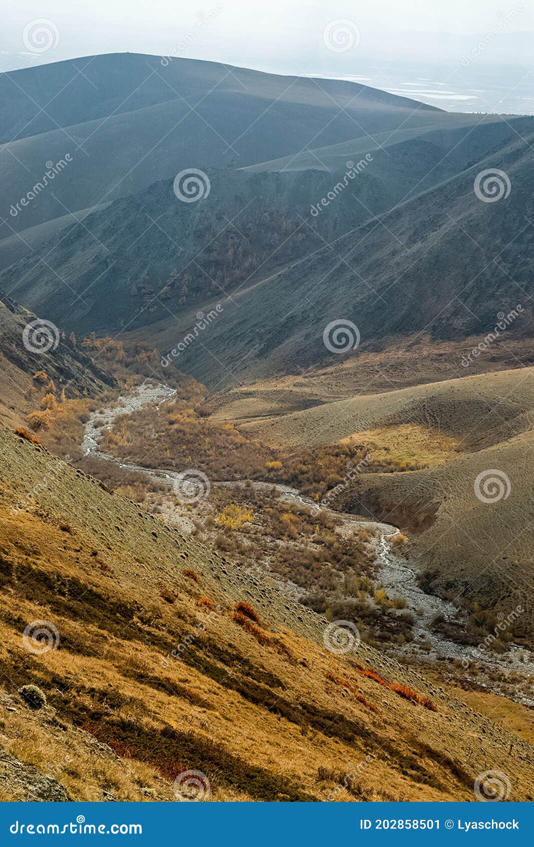 The Altai Mountains. Landscape of Nature on the Altai Mountains and in ...