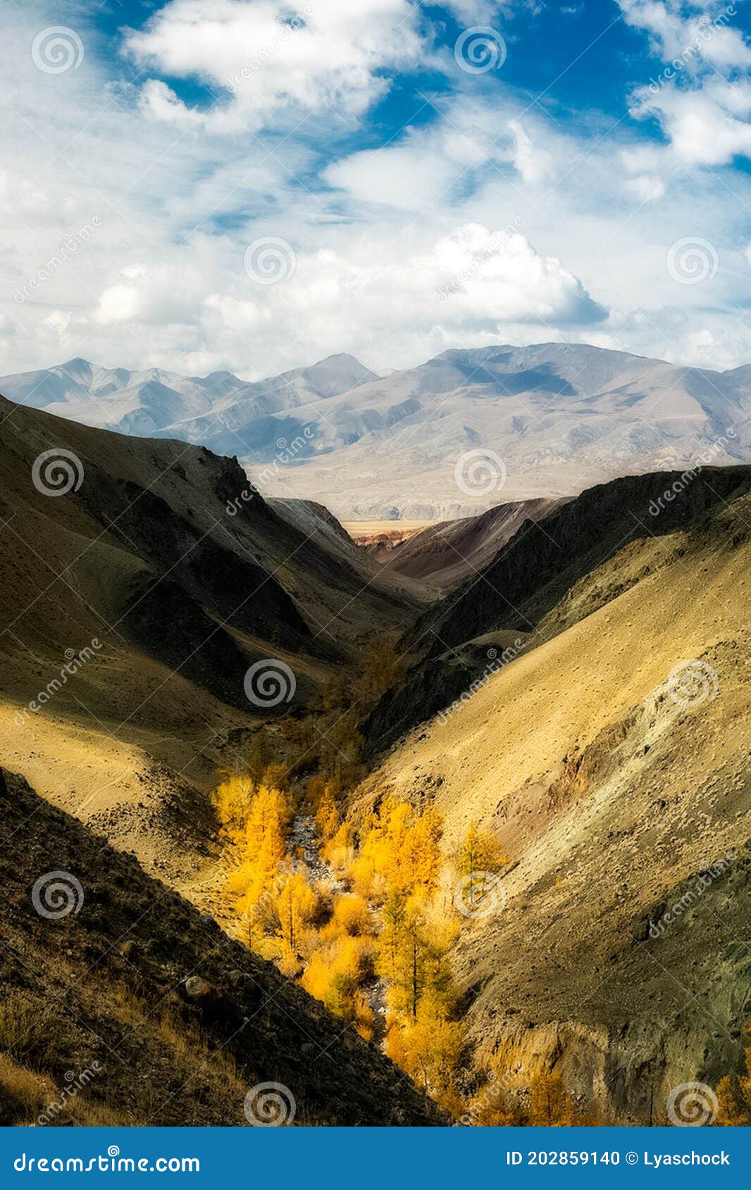 The Altai Mountains. Landscape of Nature on the Altai Mountains and in ...