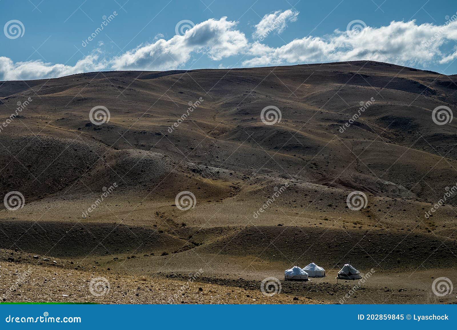The Altai Mountains. Landscape of Nature on the Altai Mountains and in ...
