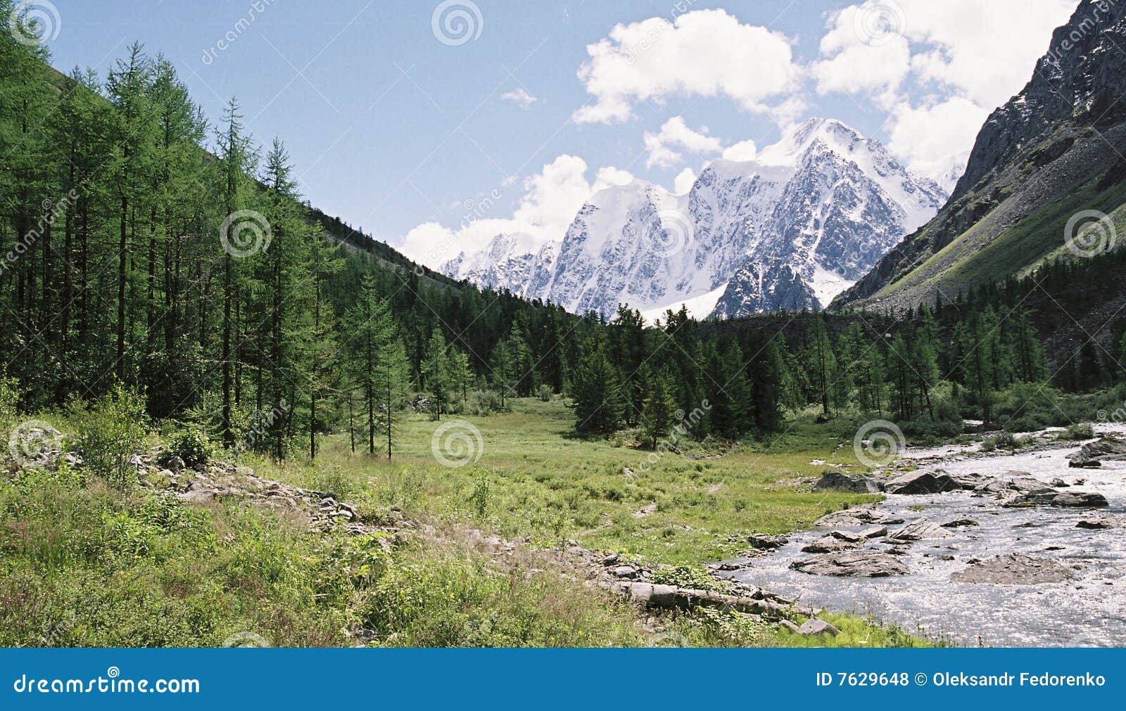The Altay landscape stock photo. Image of clouds, wood - 7629648
