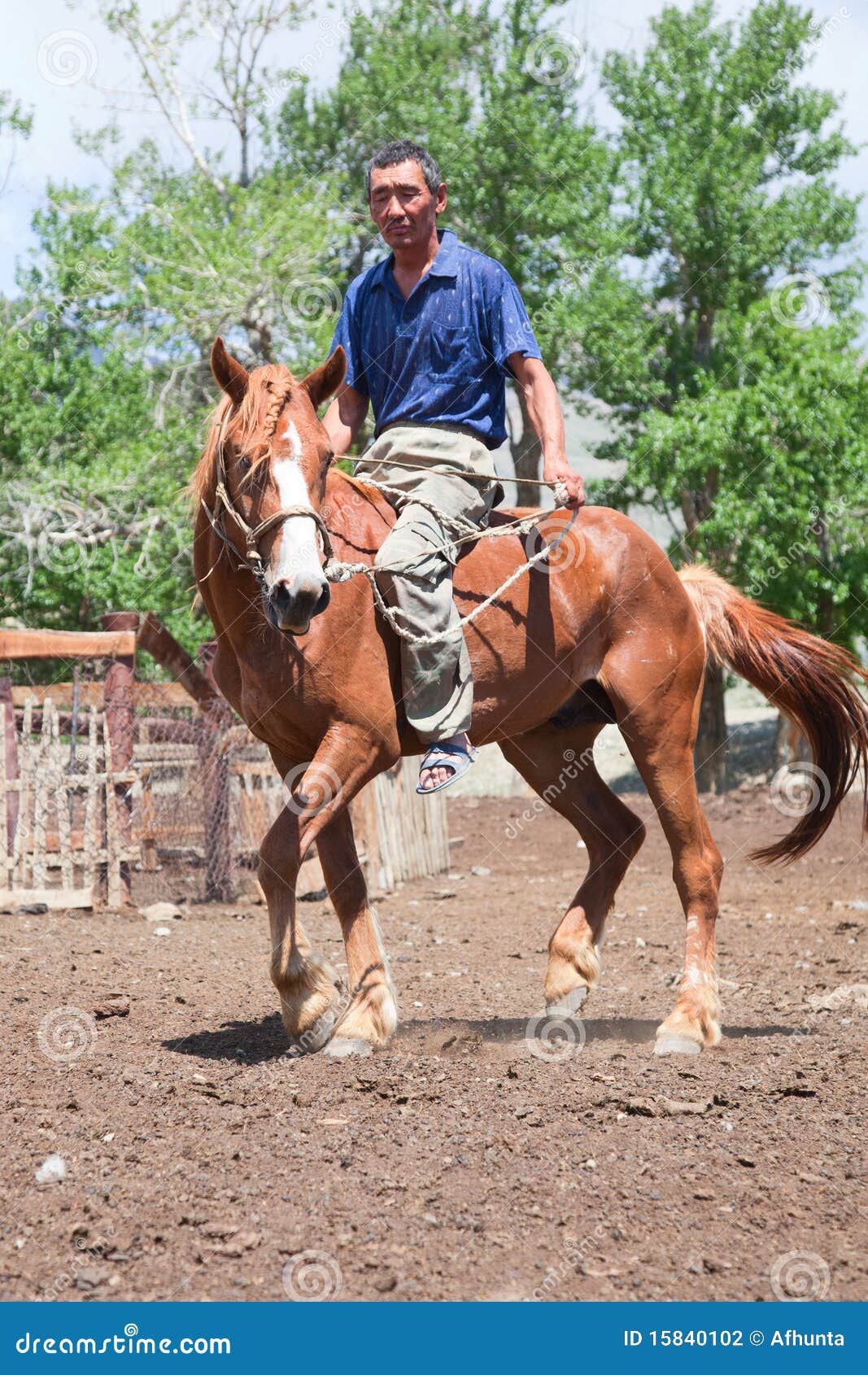 Altay man on a horse stock photo. Image of adult, activity - 15840102