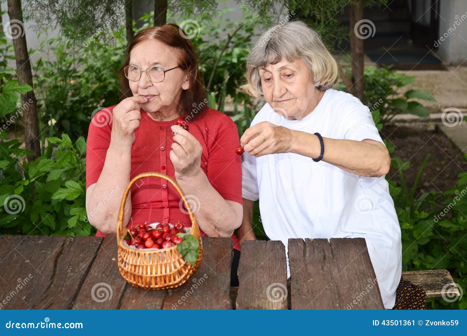 Alte Damen stockbild. Bild von nett, frech, rest, leben - 43501361