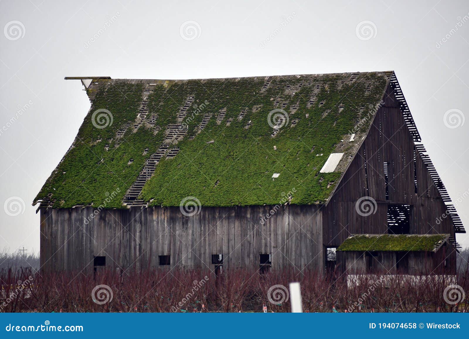 Alte Holz Scheune Mit Einem Moosigen Dach Im Betrieb Stockfoto - Bild ...