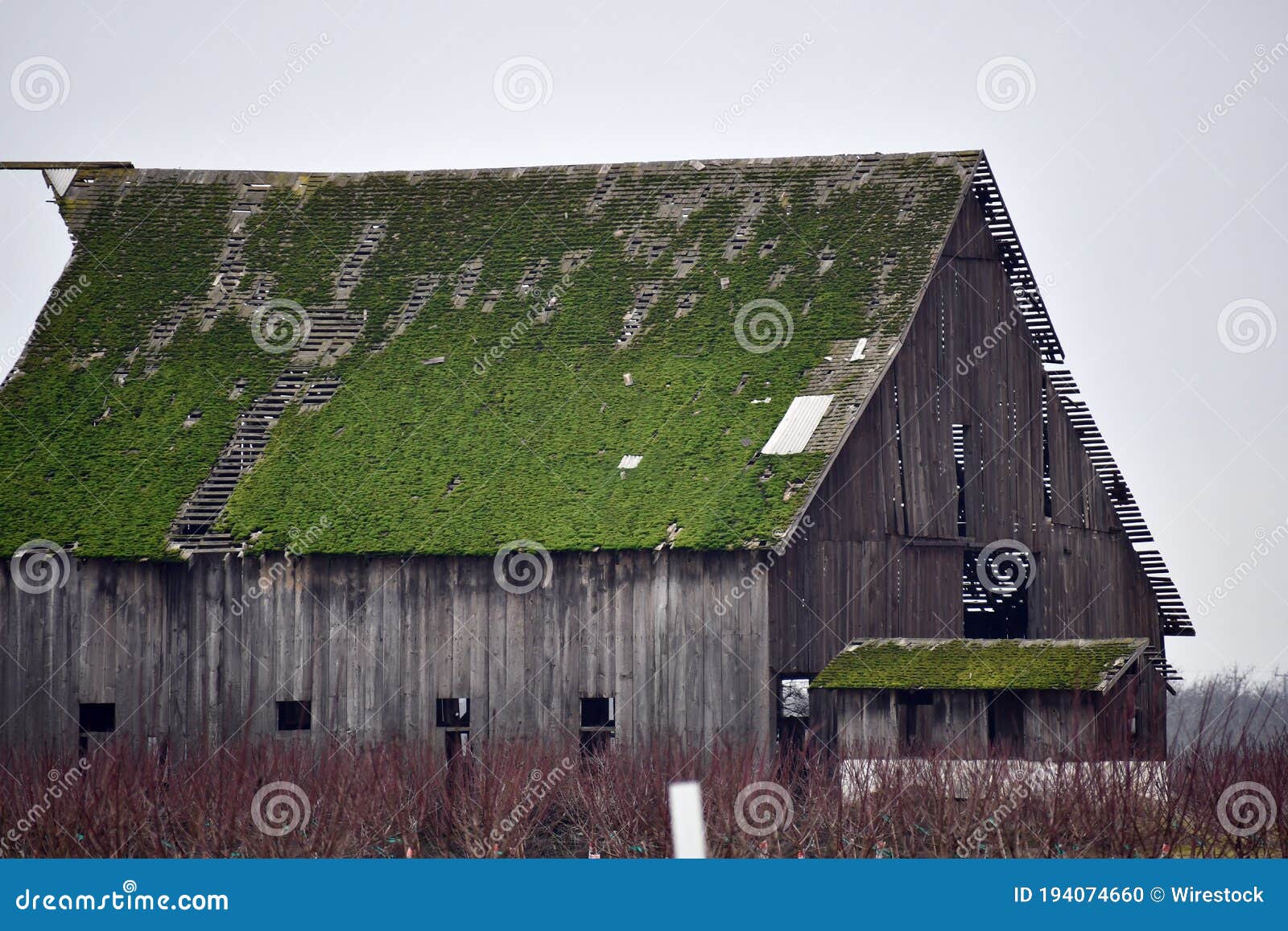 Alte Holz Scheune Mit Einem Moosigen Dach Im Betrieb Stockfoto - Bild ...