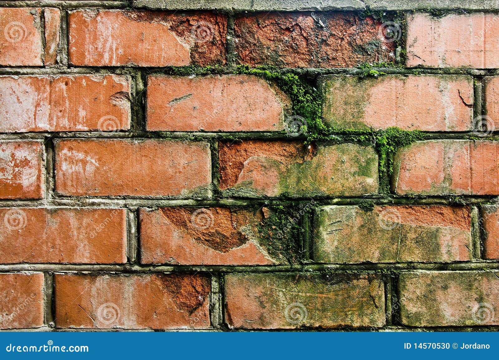 Alte Rote Backsteinmauer Gewachsen Mit Moos Stockfoto - Bild von lehm ...