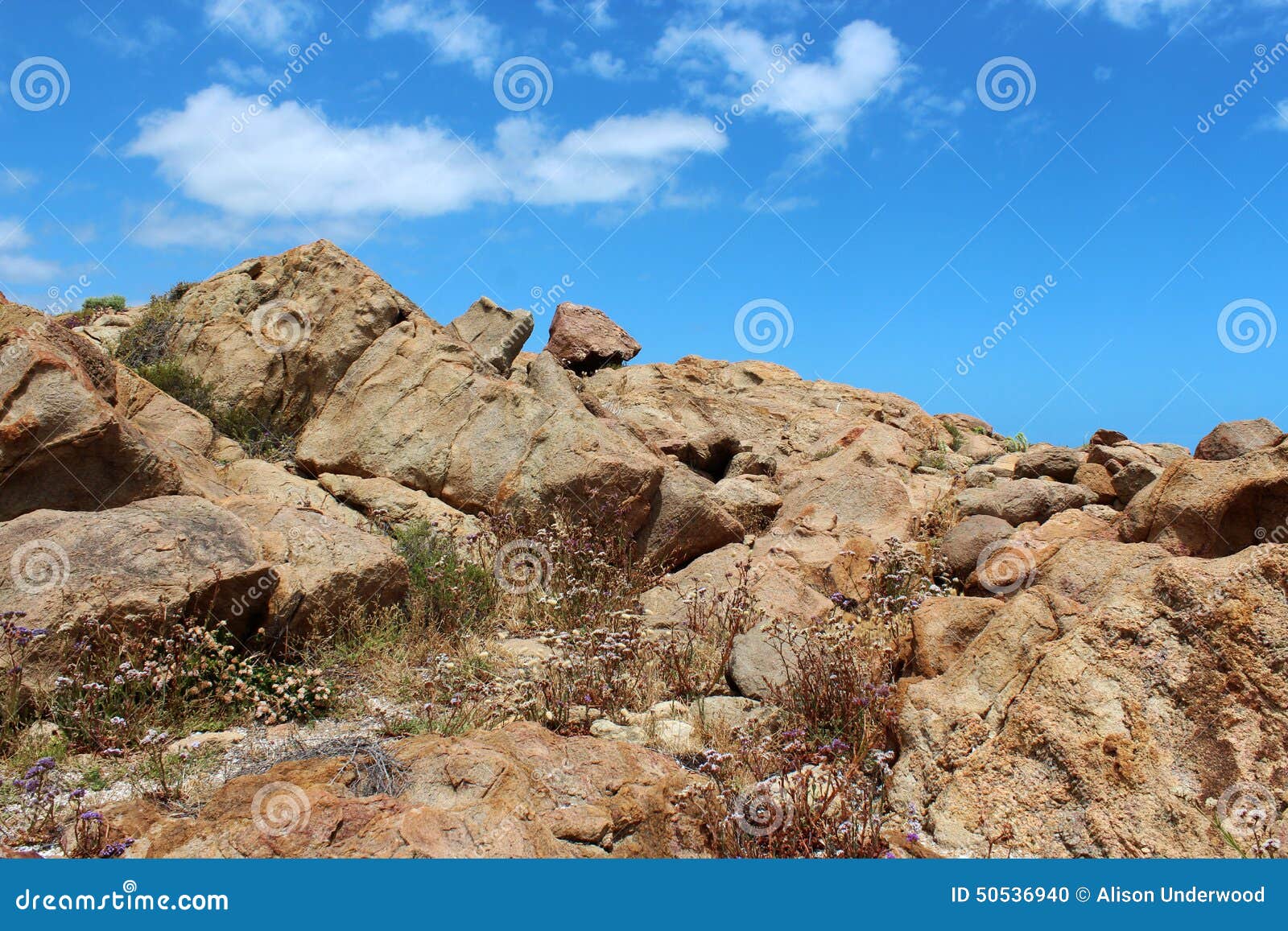 Alte Sedimentgesteine Bei Yallingup, West-Australien Stockfoto - Bild ...