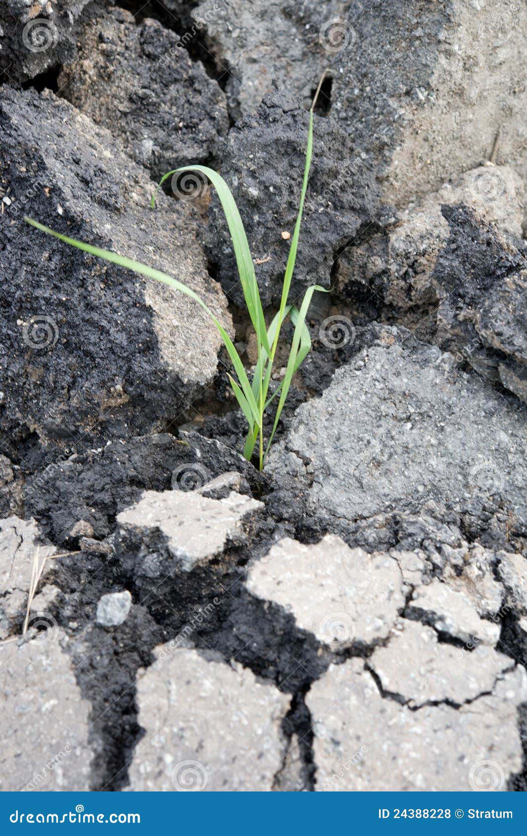 Alter Asphalt stockfoto. Bild von sprünge, städtisch - 24388228