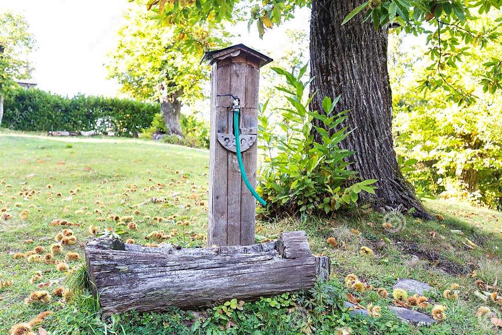 Alter Brunnen im Wald stockbild. Bild von antike, landwirtschaftlich ...