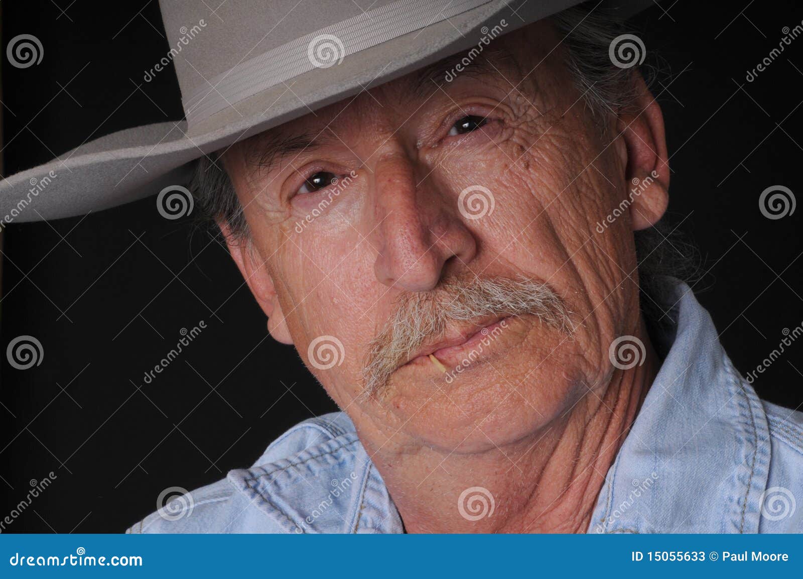 Alter Cowboy stockbild. Bild von landsmann, gesicht, cowboy - 15055633