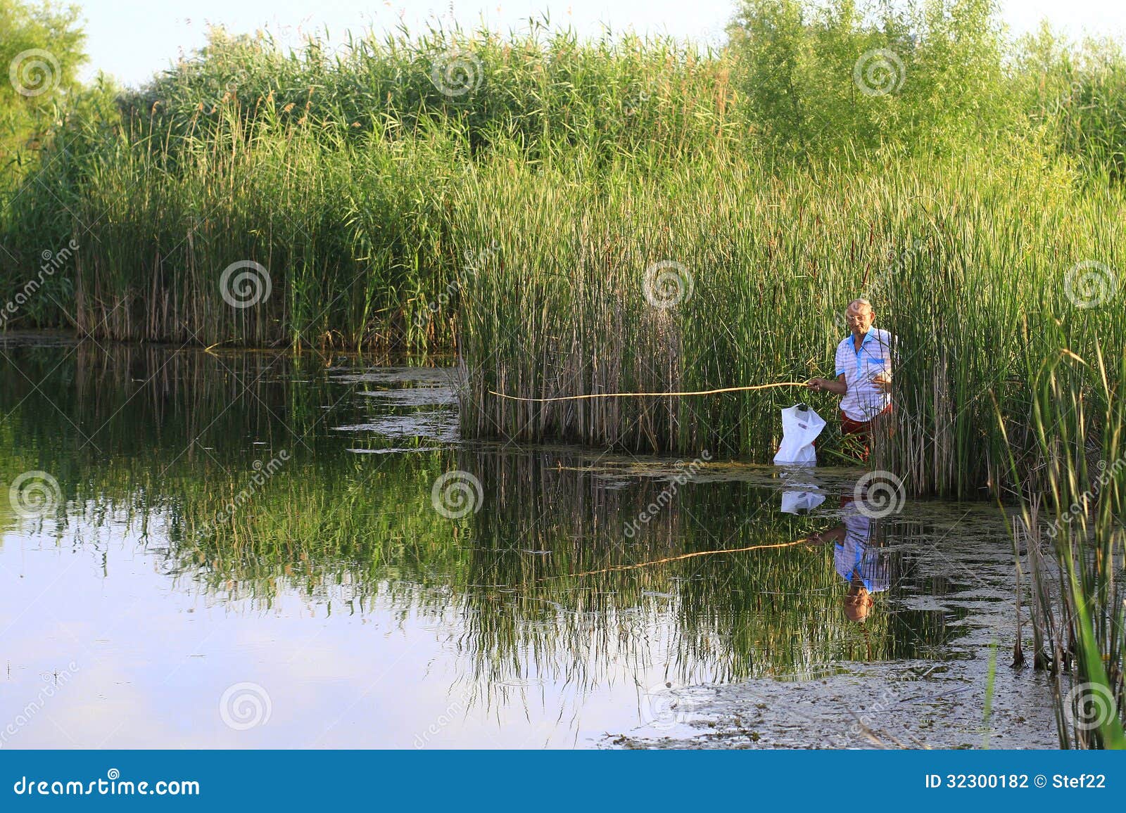 Alter Fischer redaktionelles stockfotografie. Bild von vegetation ...