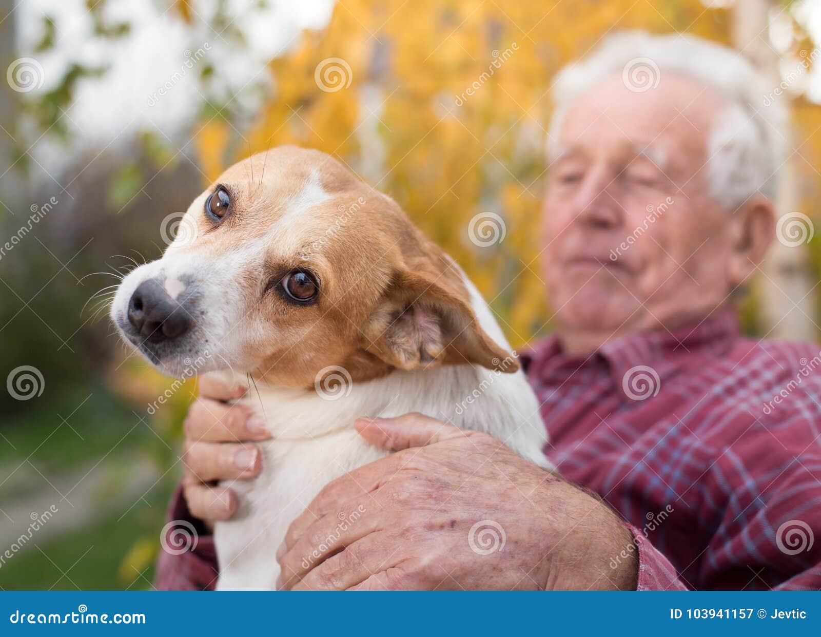 Alter Mann Mit Hund Im Park Stockbild - Bild von erwachsener ...