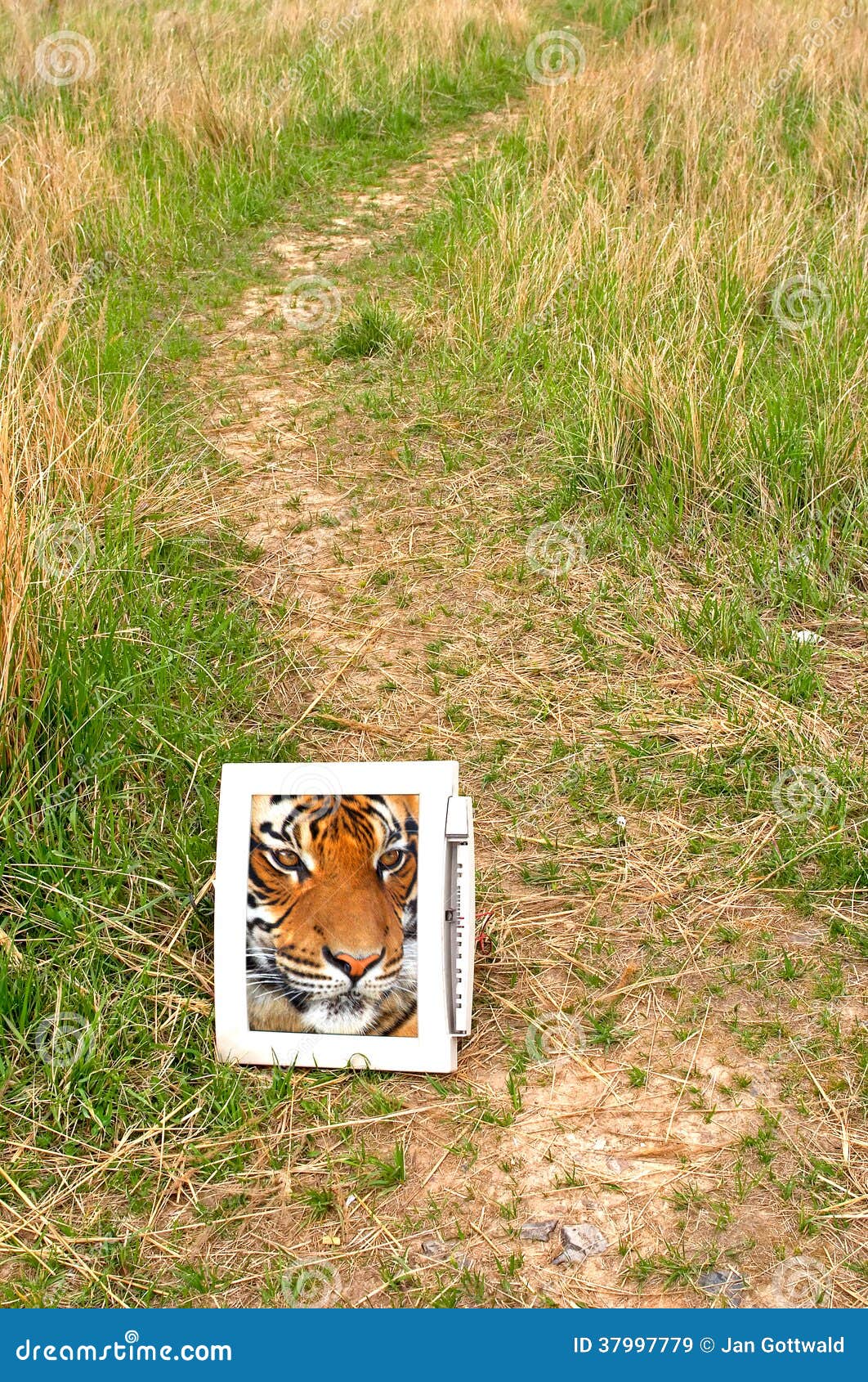 Alter Monitor stockbild. Bild von pfad, grün, überwachungsgerät - 37997779