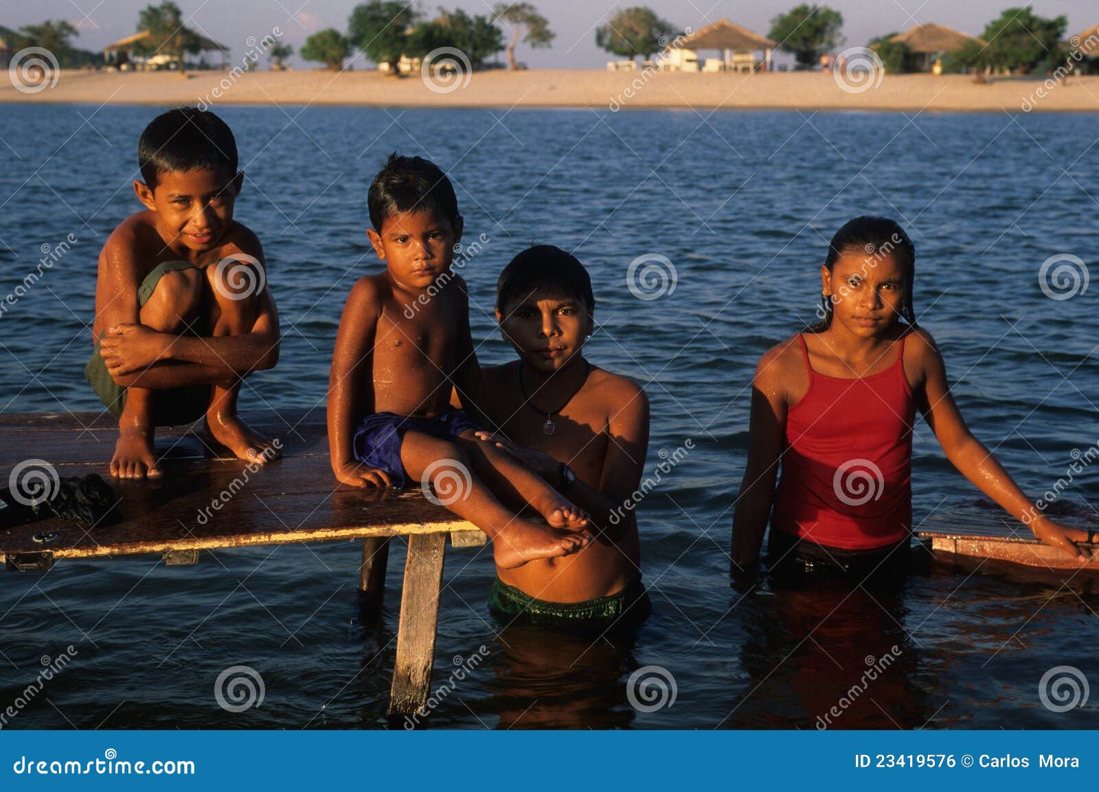 Altere Hacen Chao. El Brasil Foto editorial - Imagen de amazonas ...
