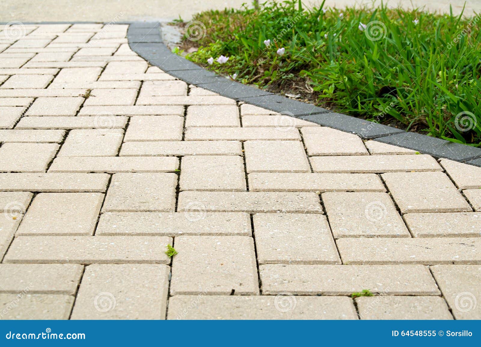 Alternating Rectangular Pavers Stock Image Image Of Grass Green 64548555