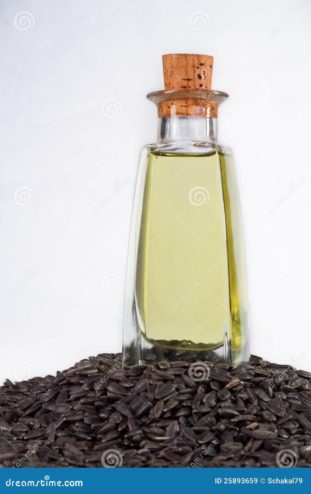 Alternative fuel stock image. Image of outdoor, environmental - 25893659