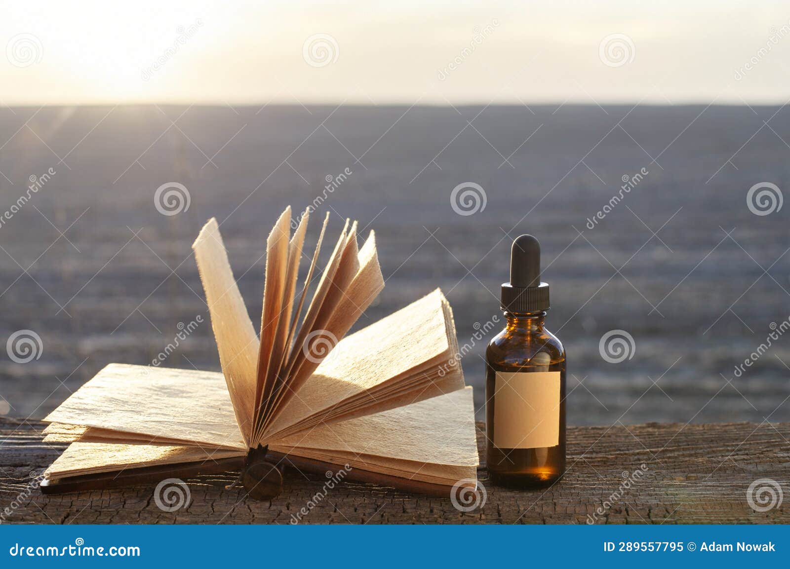 Alternative Medicine: Notebook and Dropper Bottle on Rustic Table Stock ...