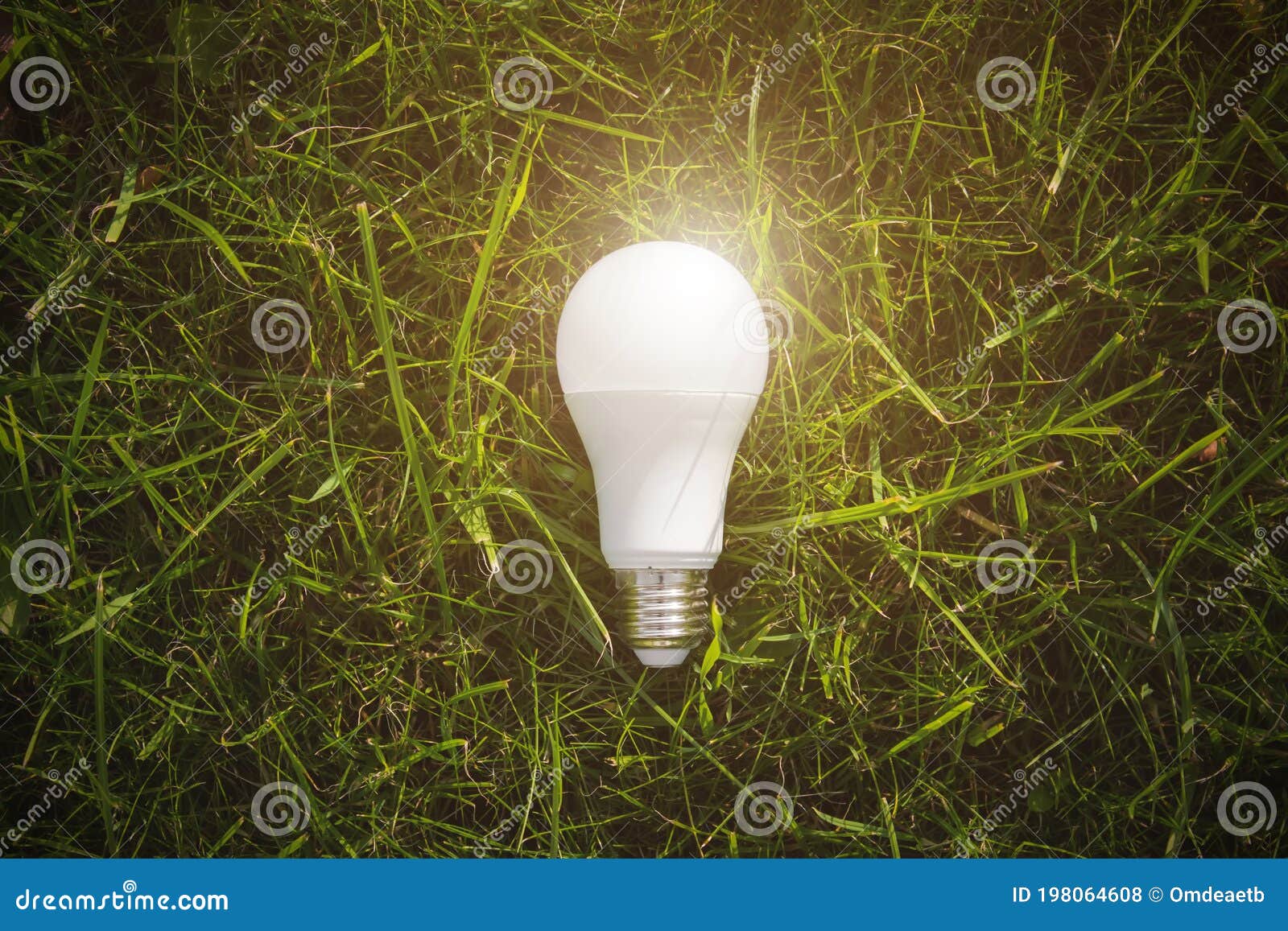 Alternative Technology Concept. Lightbulb in Green Nature in Bright ...