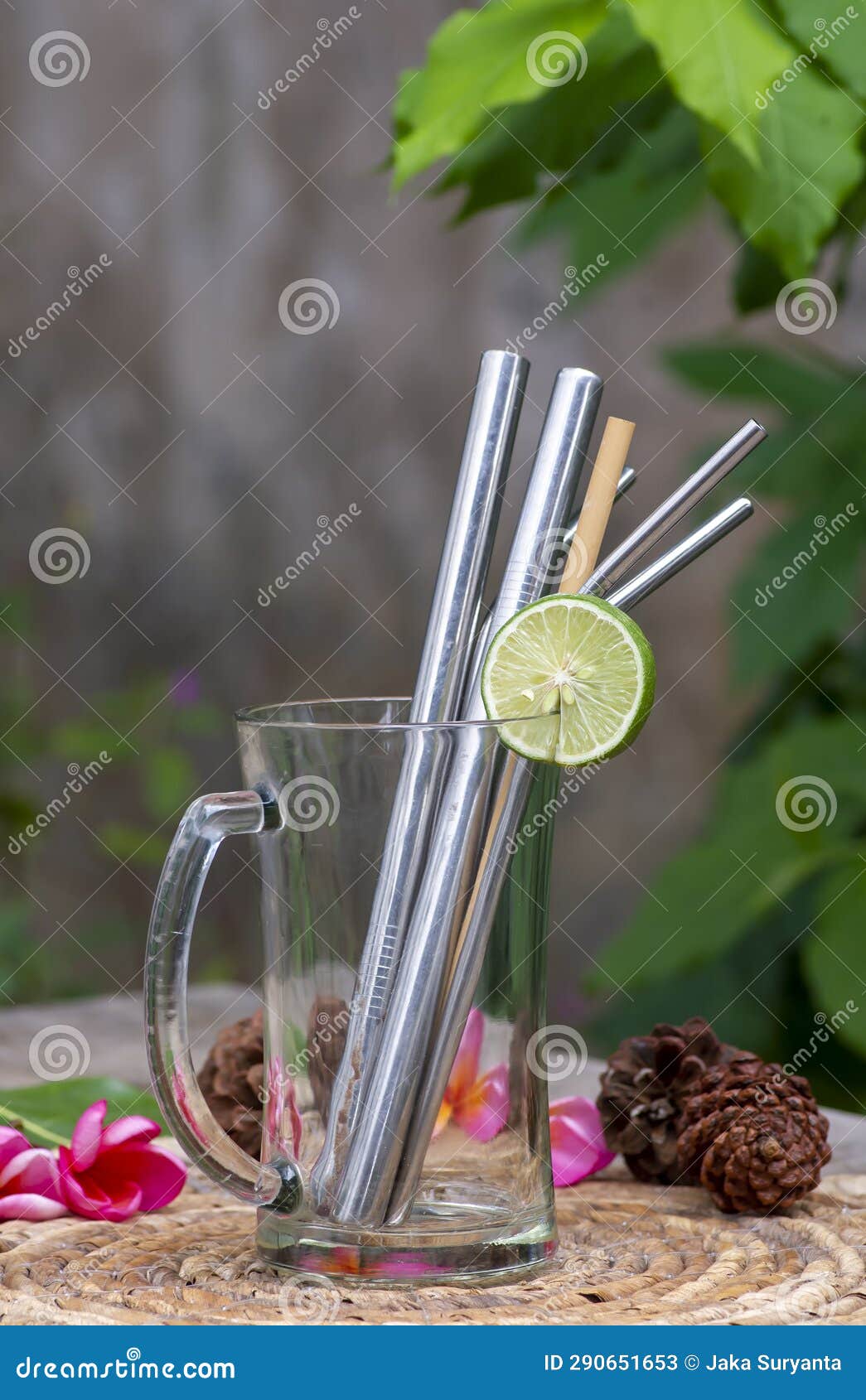 An Alternative To Reducing Plastic Straws. the Concept of Reducing Non ...