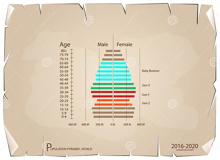 Alterspyramide-Diagramme 2016-2020 Mit Generation 4 Vektor Abbildung ...