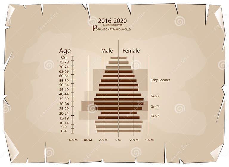 Alterspyramide-Diagramme 2016-2020 Mit Generation 4 Vektor Abbildung ...