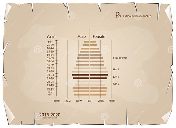 Alterspyramide-Diagramme 2016-2020 Mit Generation 4 Vektor Abbildung ...