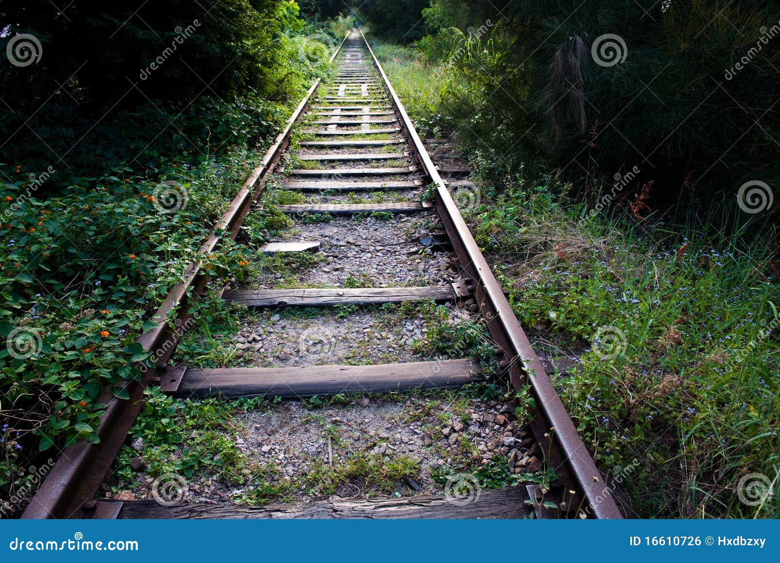 Altes Gleis stockfoto. Bild von reise, kommunikation - 16610726