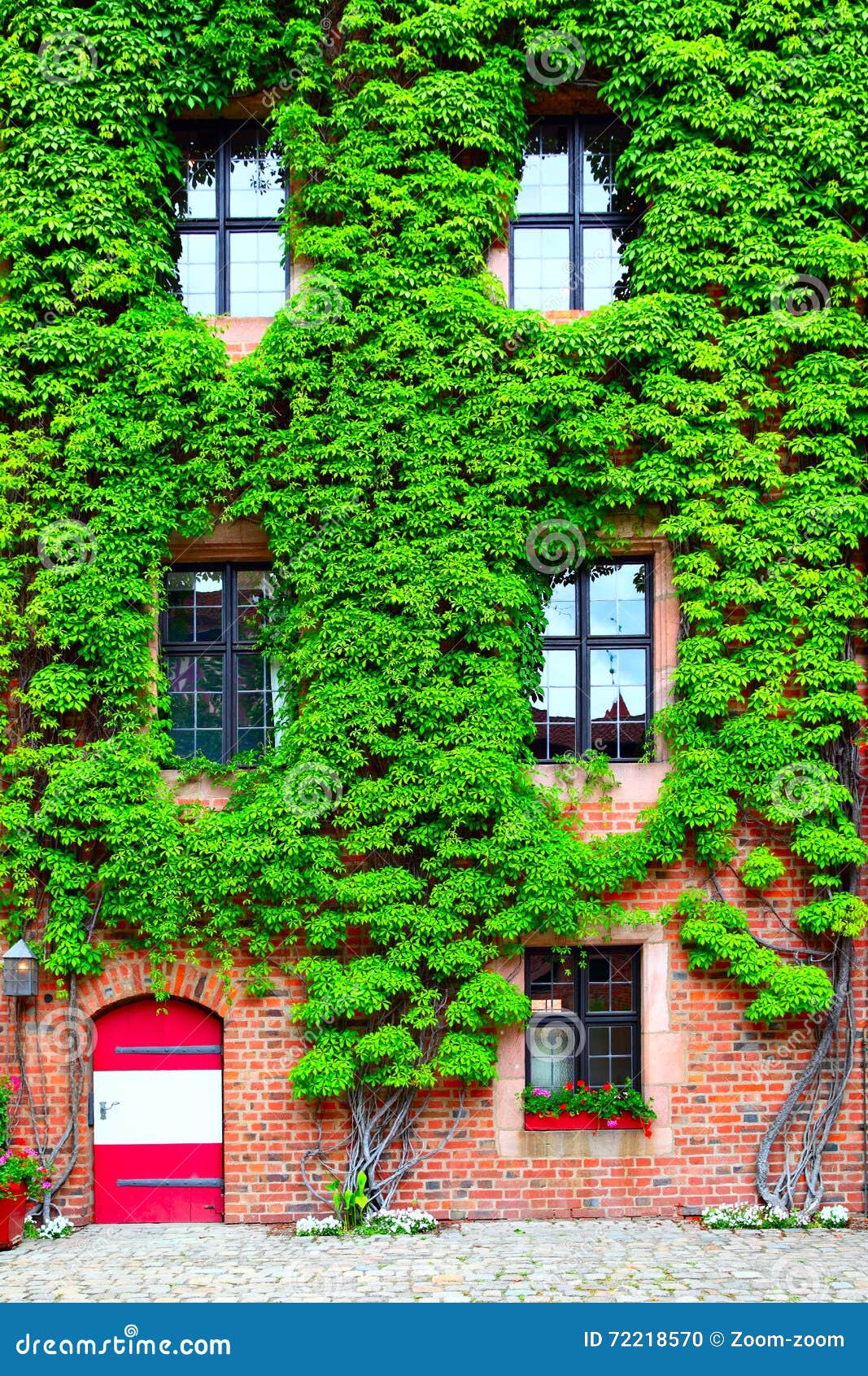 Altes Haus mit Efeu stockfoto. Bild von laub, gemütlichkeit - 72218570