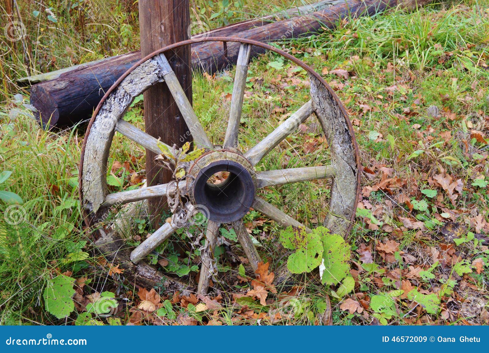 Altes Rad stockbild. Bild von herbst, rustikal, land - 46572009