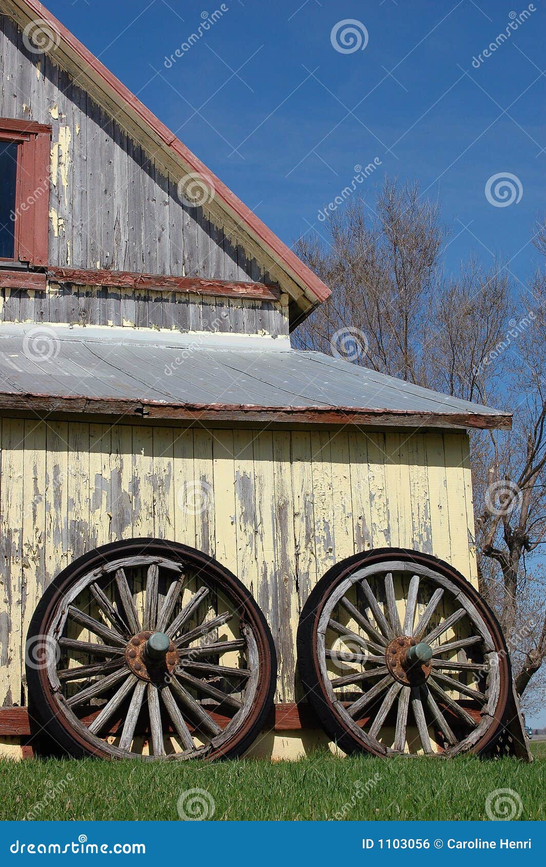 Altes Rad auf einem Stall stockfoto. Bild von stall, baum - 1103056
