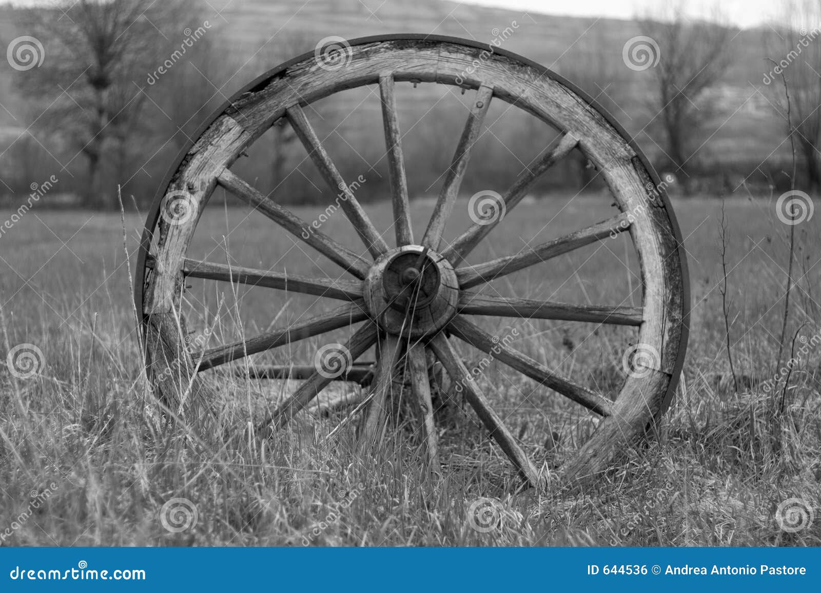 Altes Rad von Lastwagen 2 stockfoto. Bild von gang, lastwagen - 644536