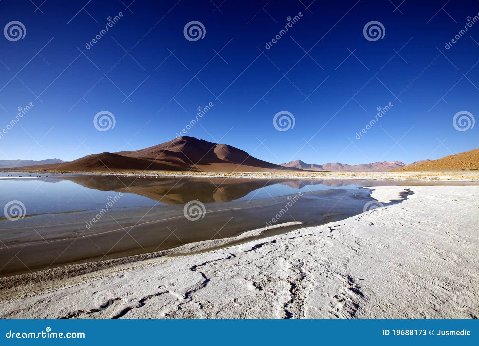 Altiplano landscape stock image. Image of national, altiplano - 19688173