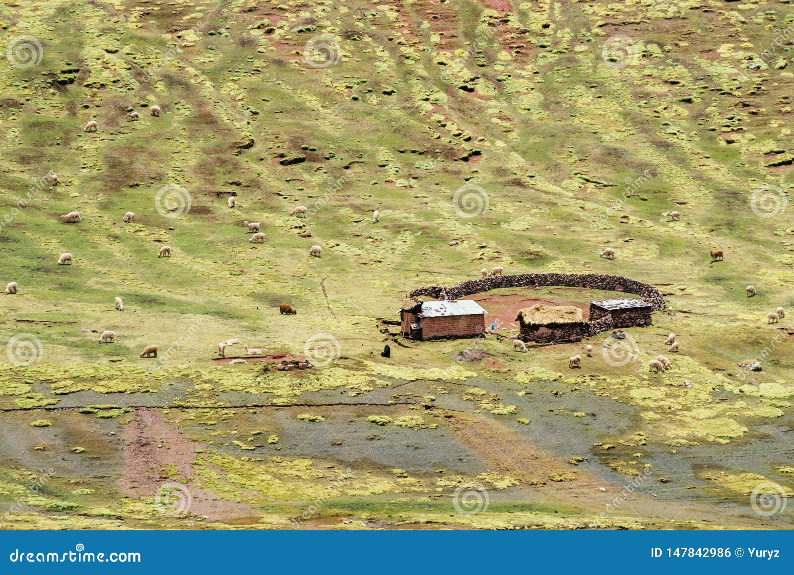 Altitude farm in Peru stock photo. Image of building - 147842986