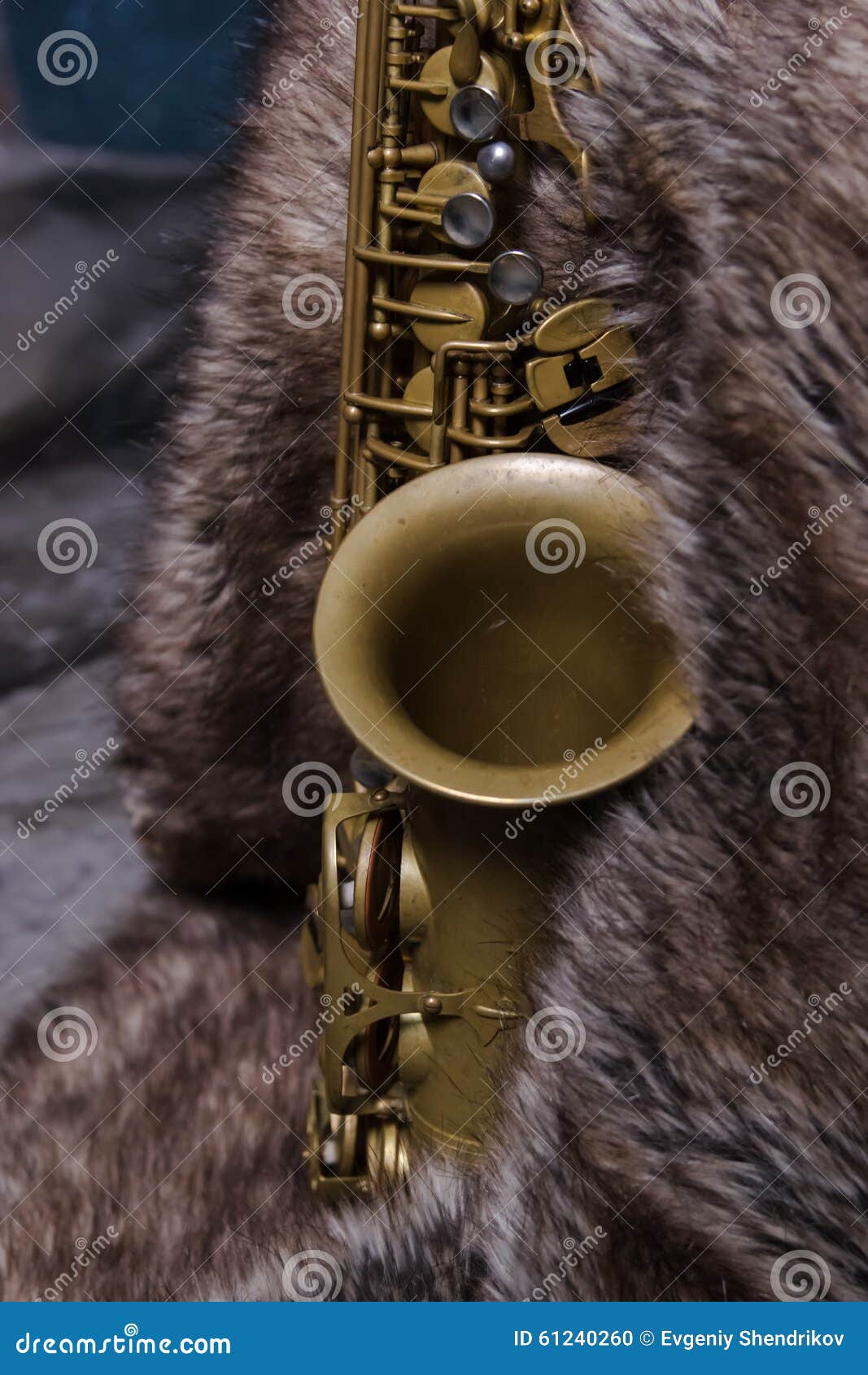 Alto saxophone stock photo. Image of wolf, instruments - 61240260