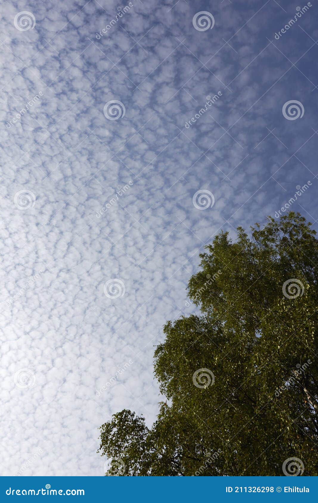 Altocumulus Floccus Virga Clouds Royalty-Free Stock Photography ...