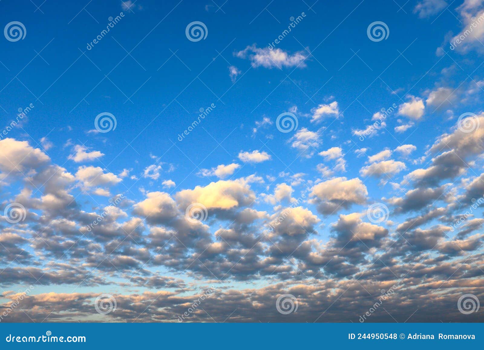Altocumulus Floccus Virga Clouds Royalty-Free Stock Photography ...