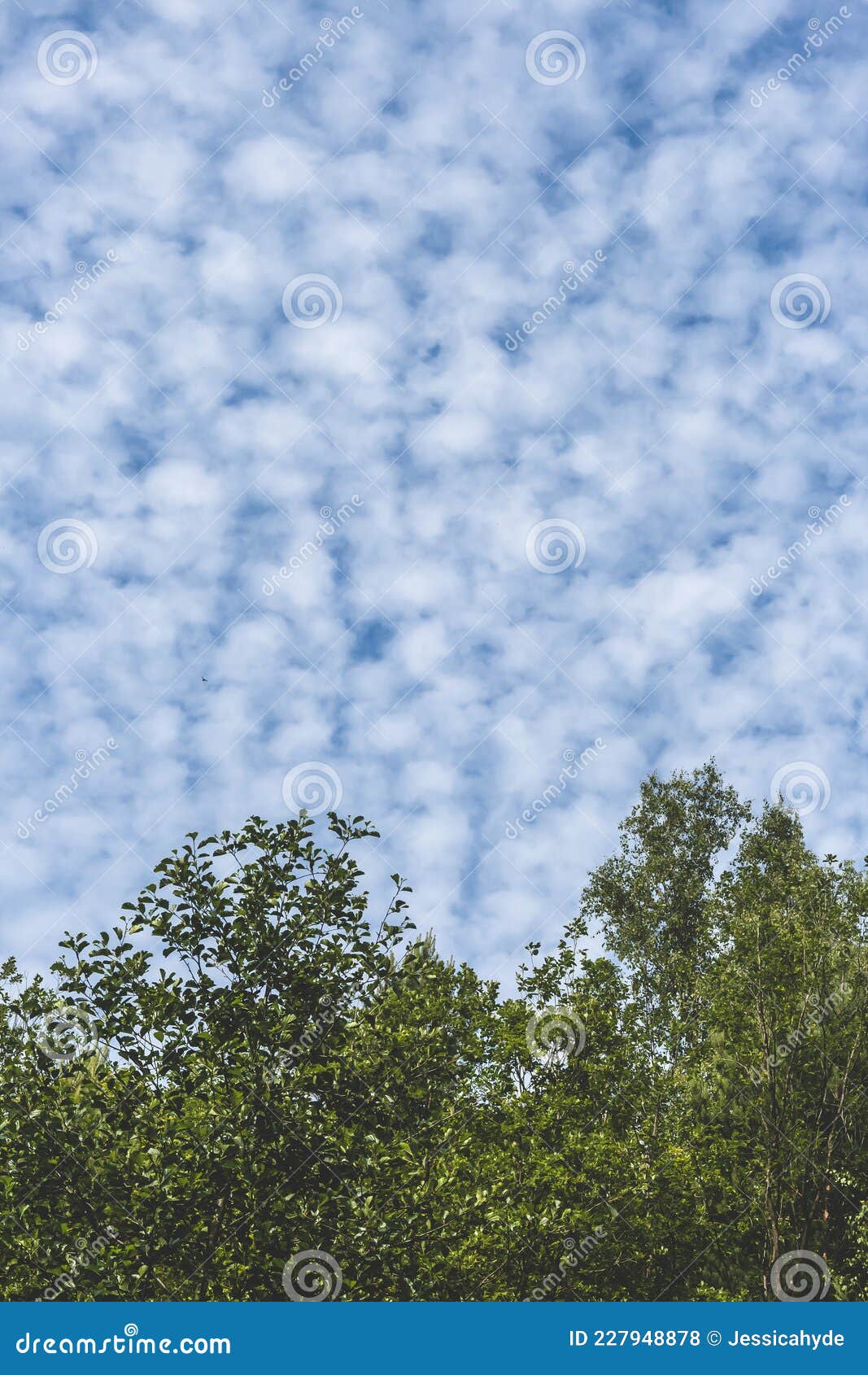 Altocumulus floccus clouds stock photo. Image of background - 227948878