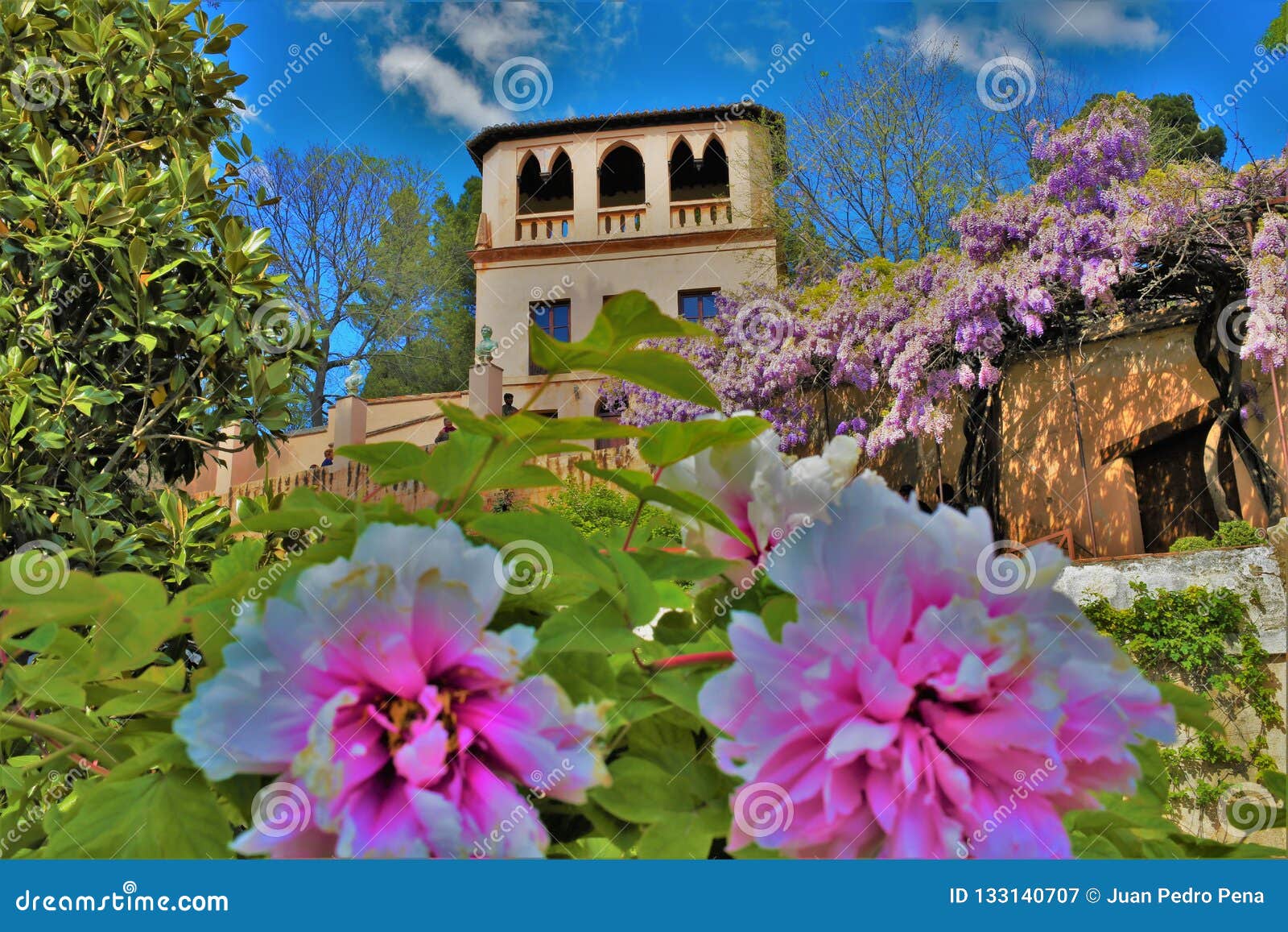 Altos Jardines Del Palacio De Generalife Imagen de archivo - Imagen de ...