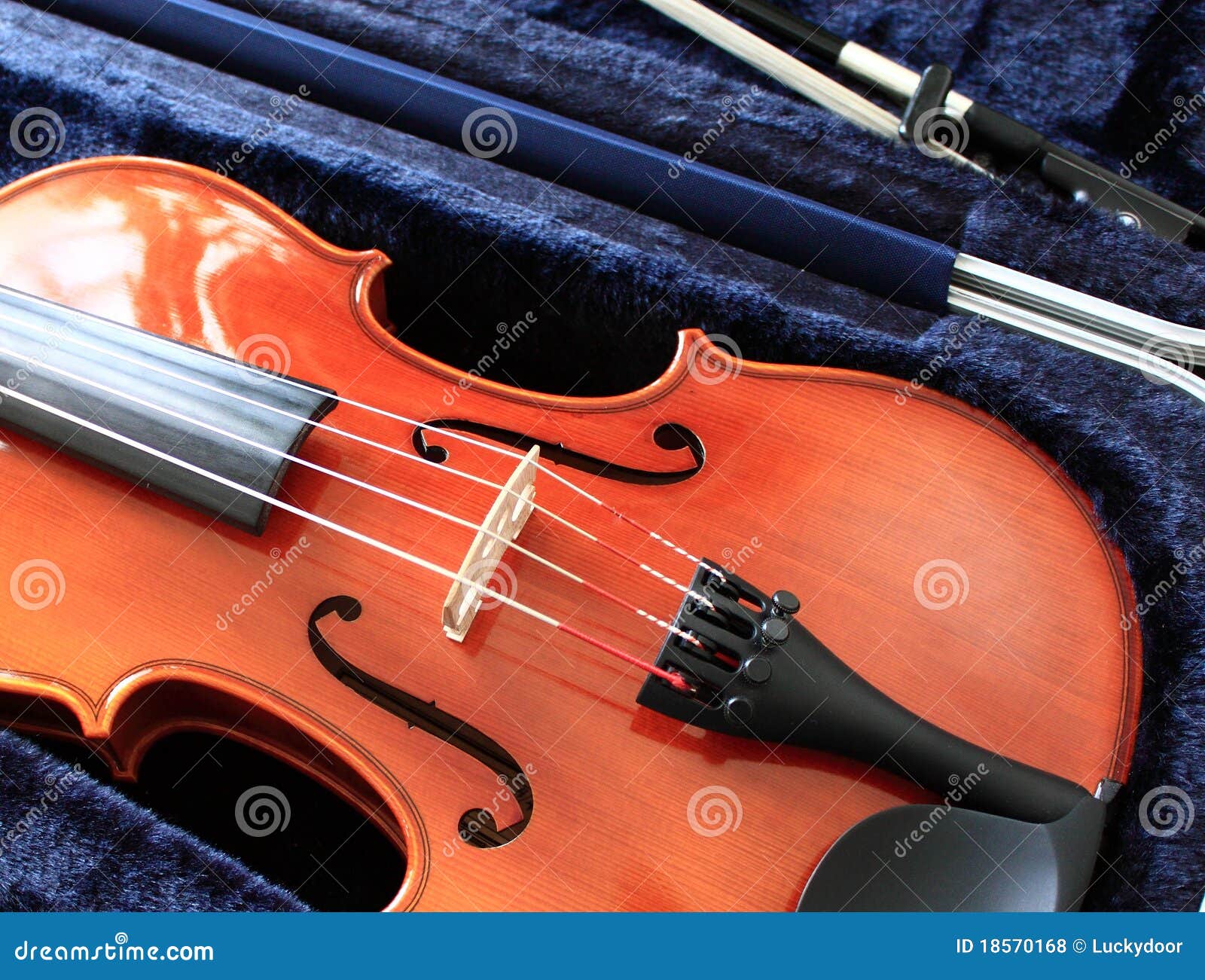 Altviool in een open geval stock foto. Image of geluid - 18570168