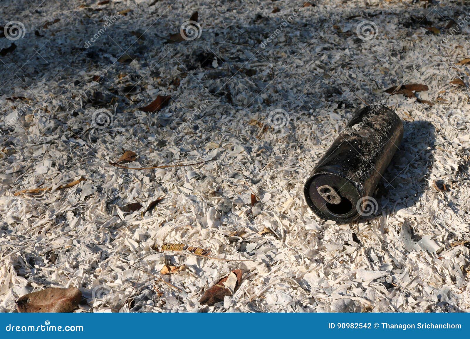 Aluminum Cans Burning on the Ashes of Leaf. Stock Photo - Image of ...