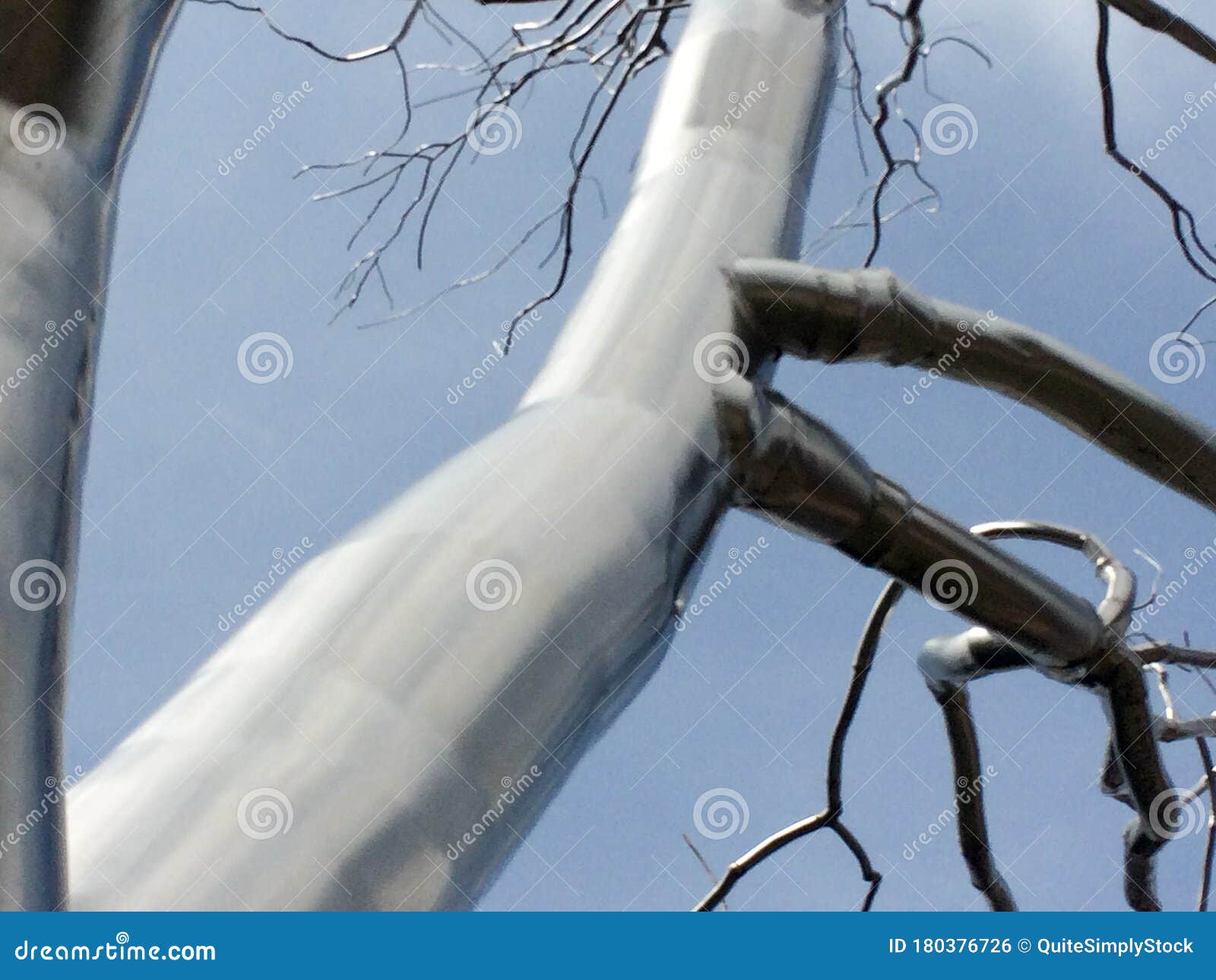 Aluminum metal tree stock photo. Image of green, plate - 180376726